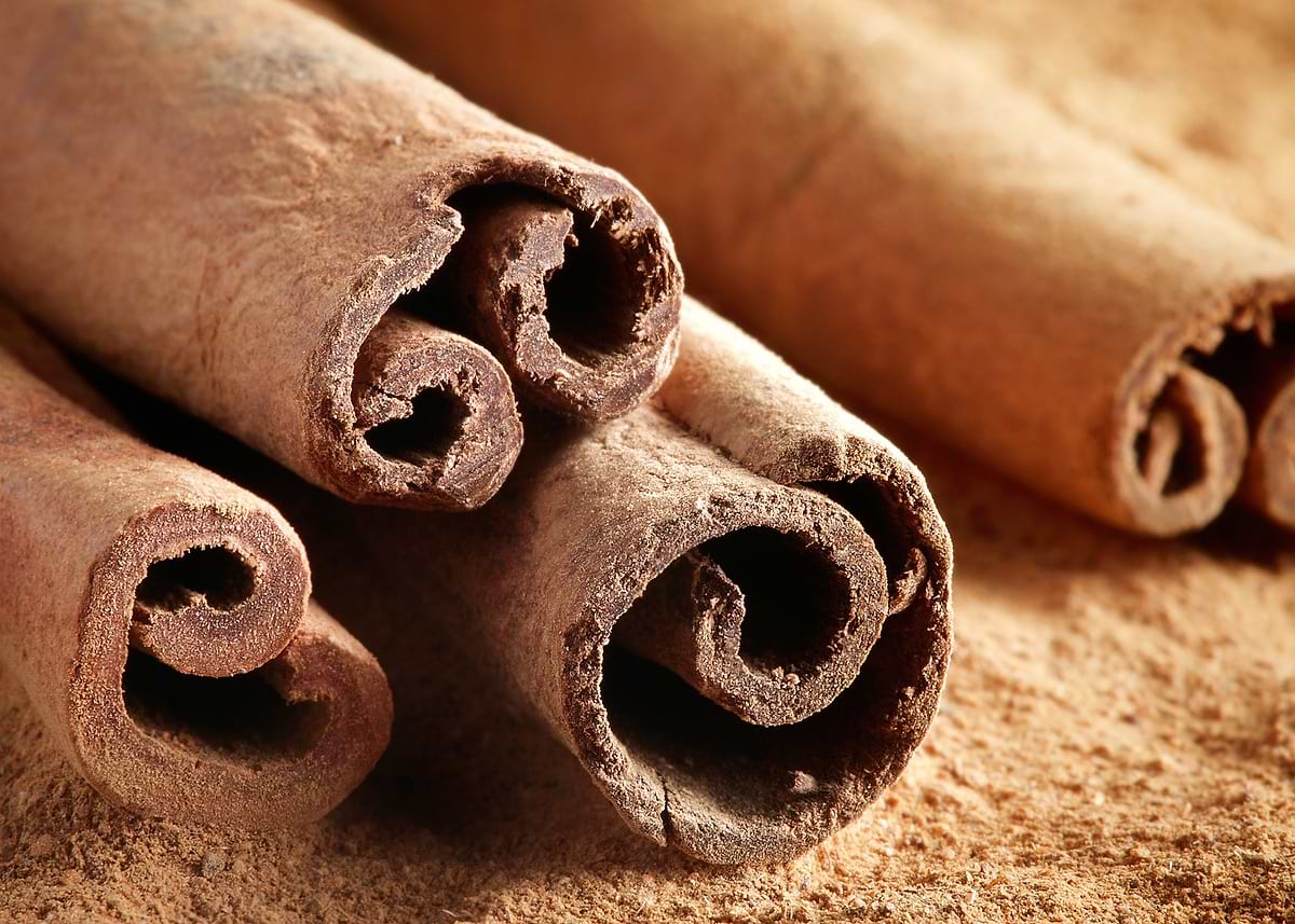 'Cinnamon Sticks' Poster, picture, metal print, paint by Mari Swanepoel ...