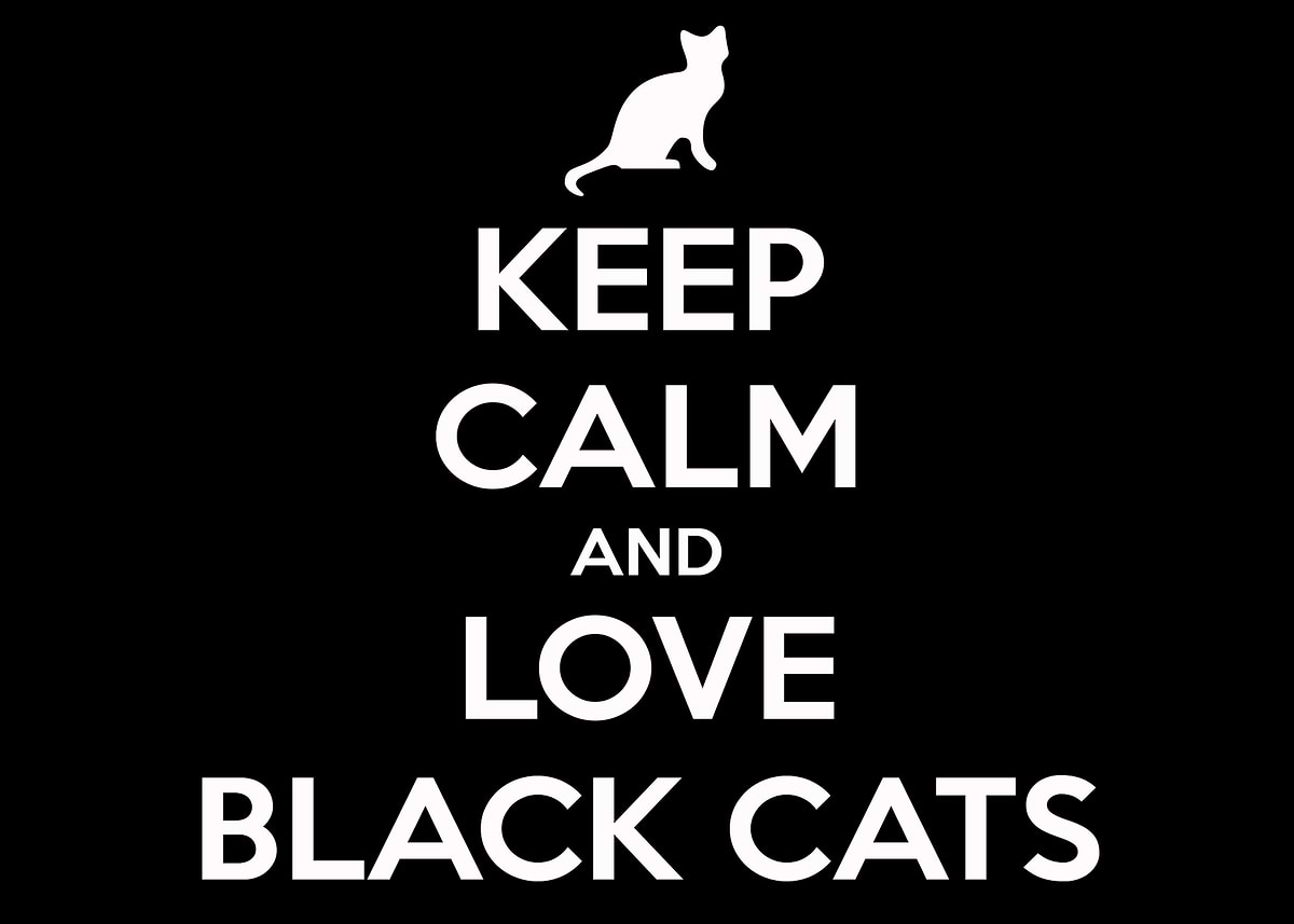 'Keep Calm And Love Cats' Poster, picture, metal print, paint by Miyako ...