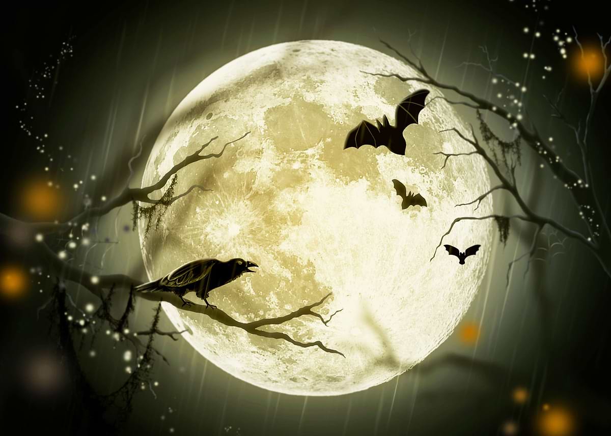 'Bats and Birds Moon' Poster, picture, metal print, paint by Iochar ...