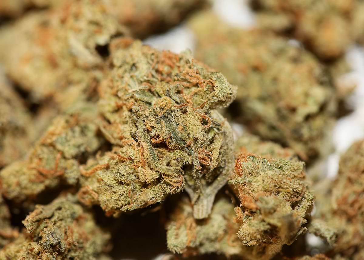 'Marihuana buds close up' Poster, picture, metal print, paint by ...