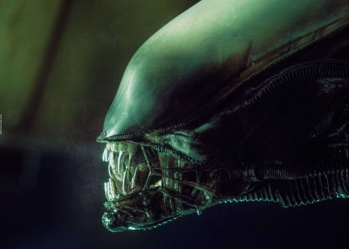 'Alien`s Teeth' Poster, picture, metal print, paint by Alien | Displate