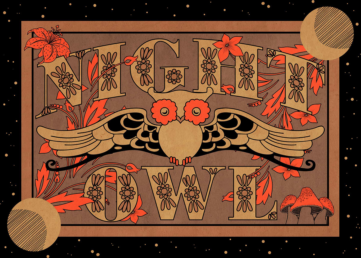 'Night Owl' Poster, picture, metal print, paint by Inspired Images ...