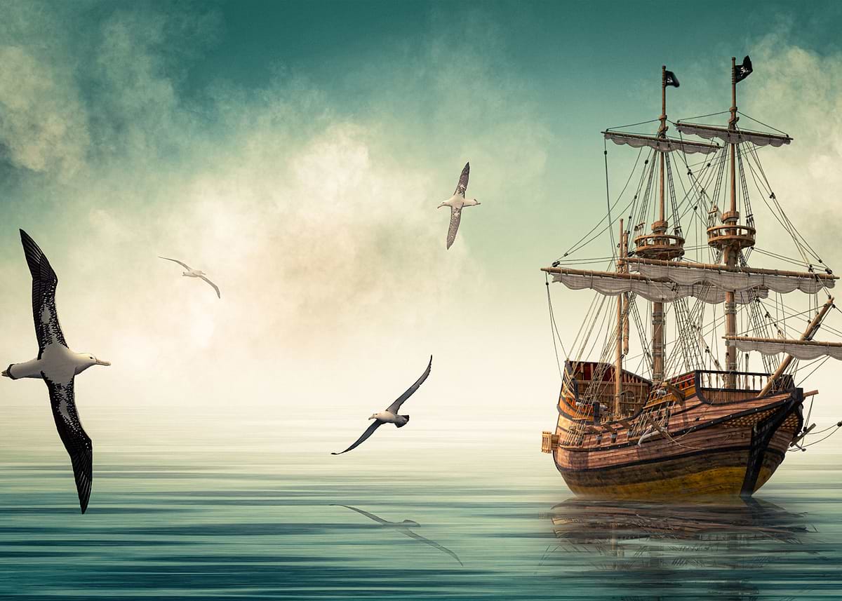 'Albatross' Poster, picture, metal print, paint by Wes Jones | Displate