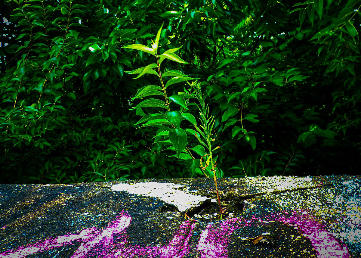 'Breaking Through' Poster, picture, metal print, paint by Alex Matlock ...