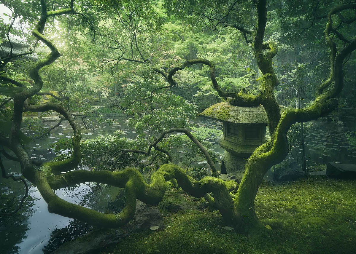 'Japanese Tree' Poster, picture, metal print, paint by World Class ...