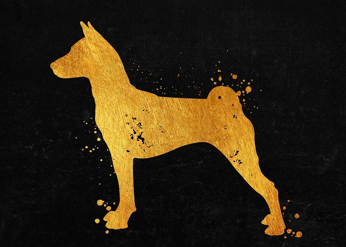 'Basenji Dog' Poster, picture, metal print, paint by Dalton Joyce | Displate