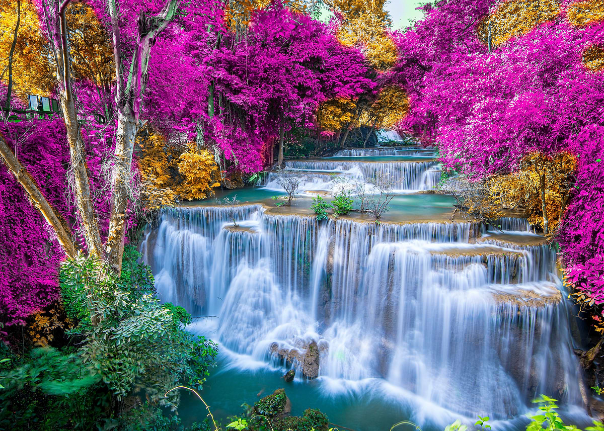'Rose Waterfall' Poster, picture, metal print, paint by ACR ACR | Displate