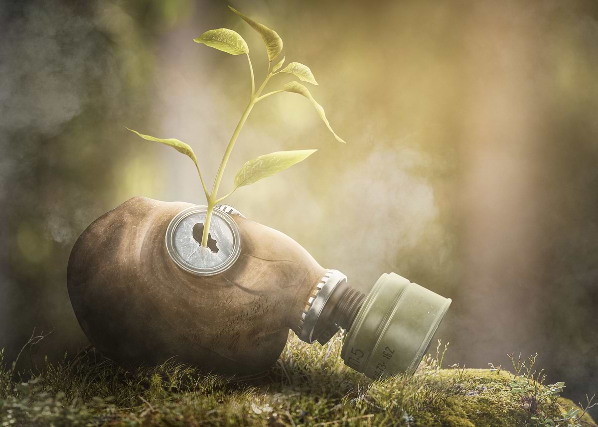 'Regrowth' Poster, picture, metal print, paint by Wes Jones | Displate