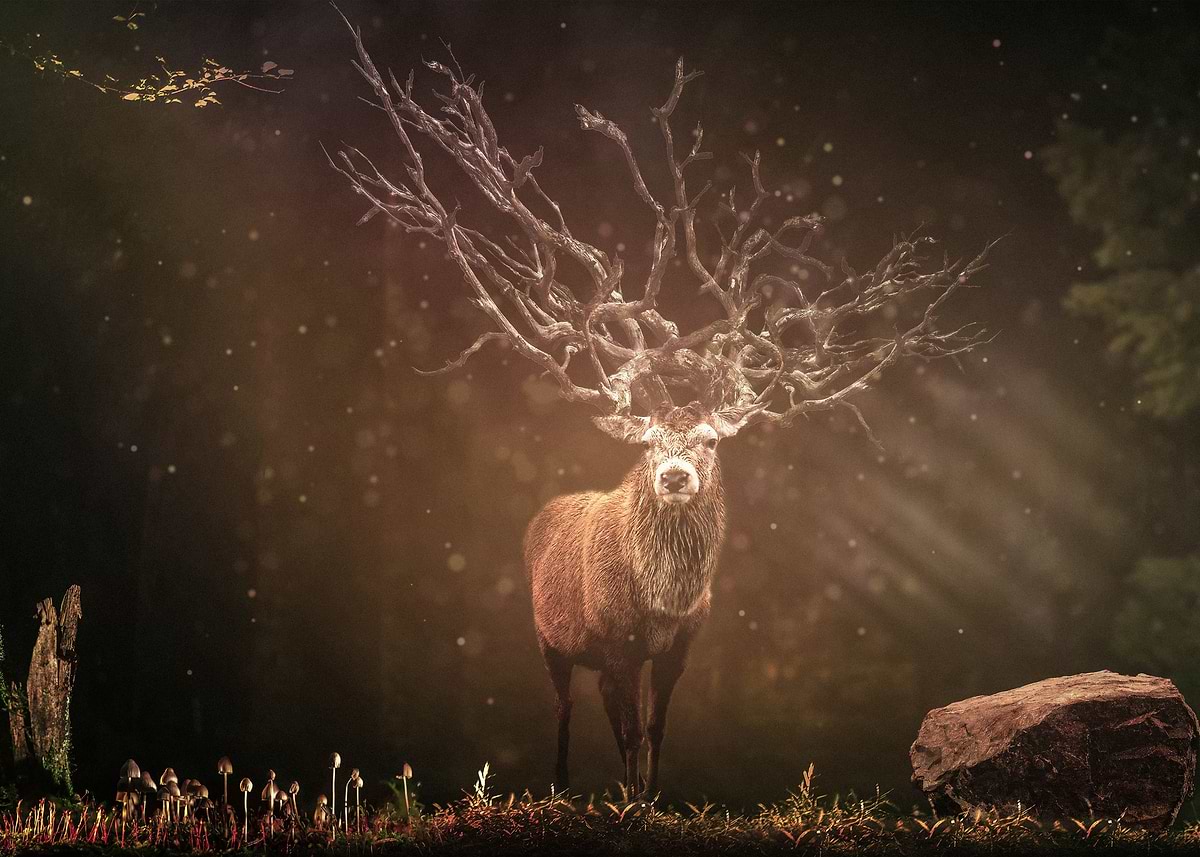 'Fantasy Reindeer' Poster, picture, metal print, paint by DawoodKh ...