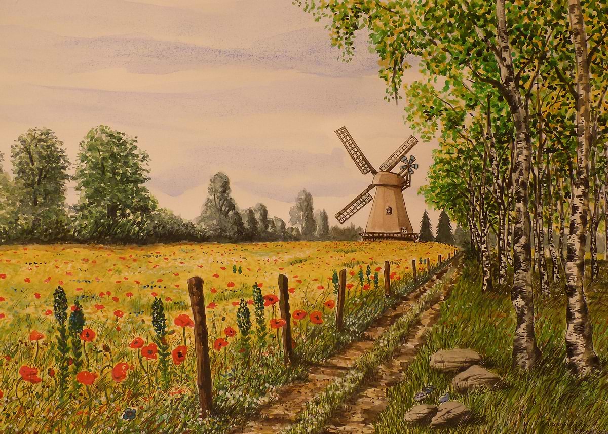 'Mill and Red Poppies Field' Poster, picture, metal print, paint by ...