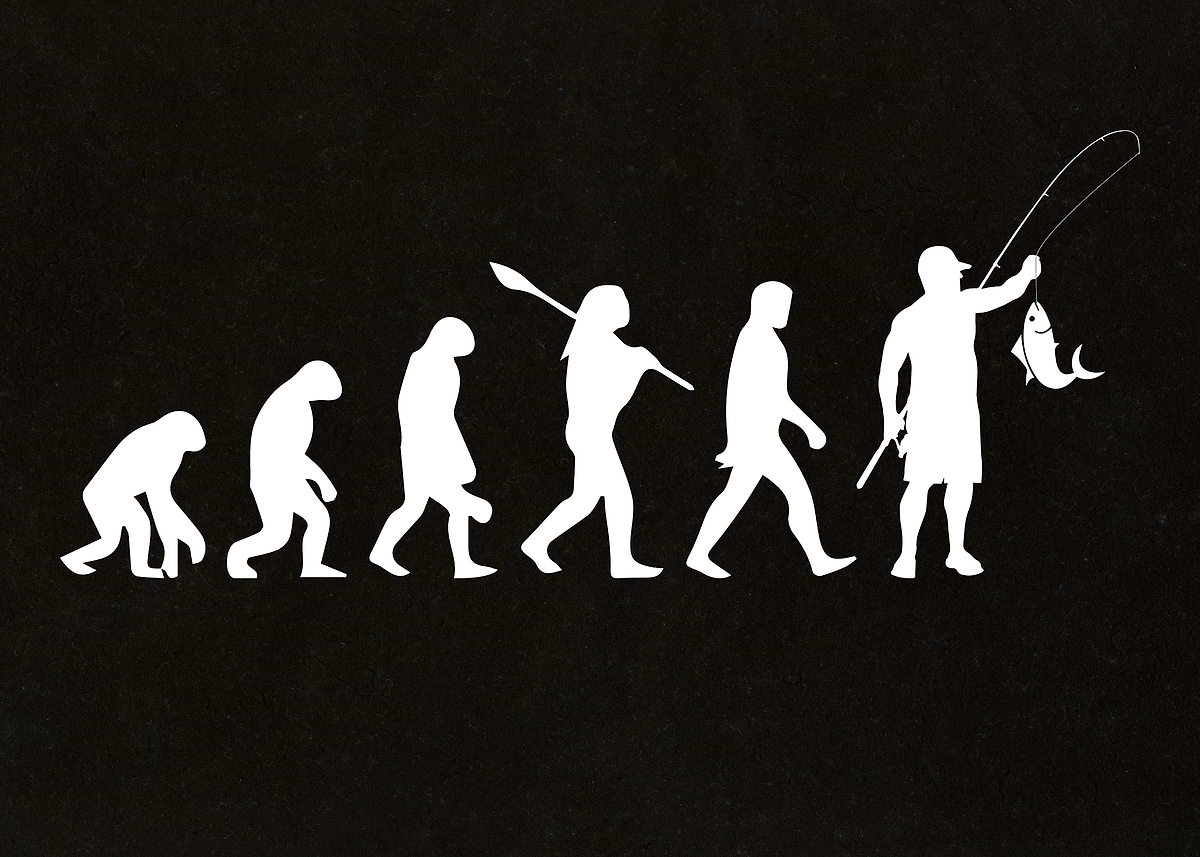 'Evolution of Fisherman' Poster, picture, metal print, paint by crbn ...