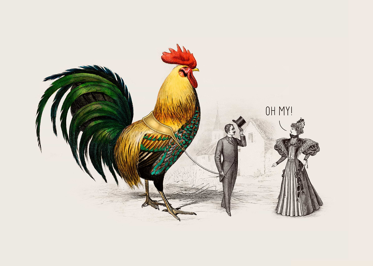 'Show off' Poster, picture, metal print, paint by Enkel Dika | Displate