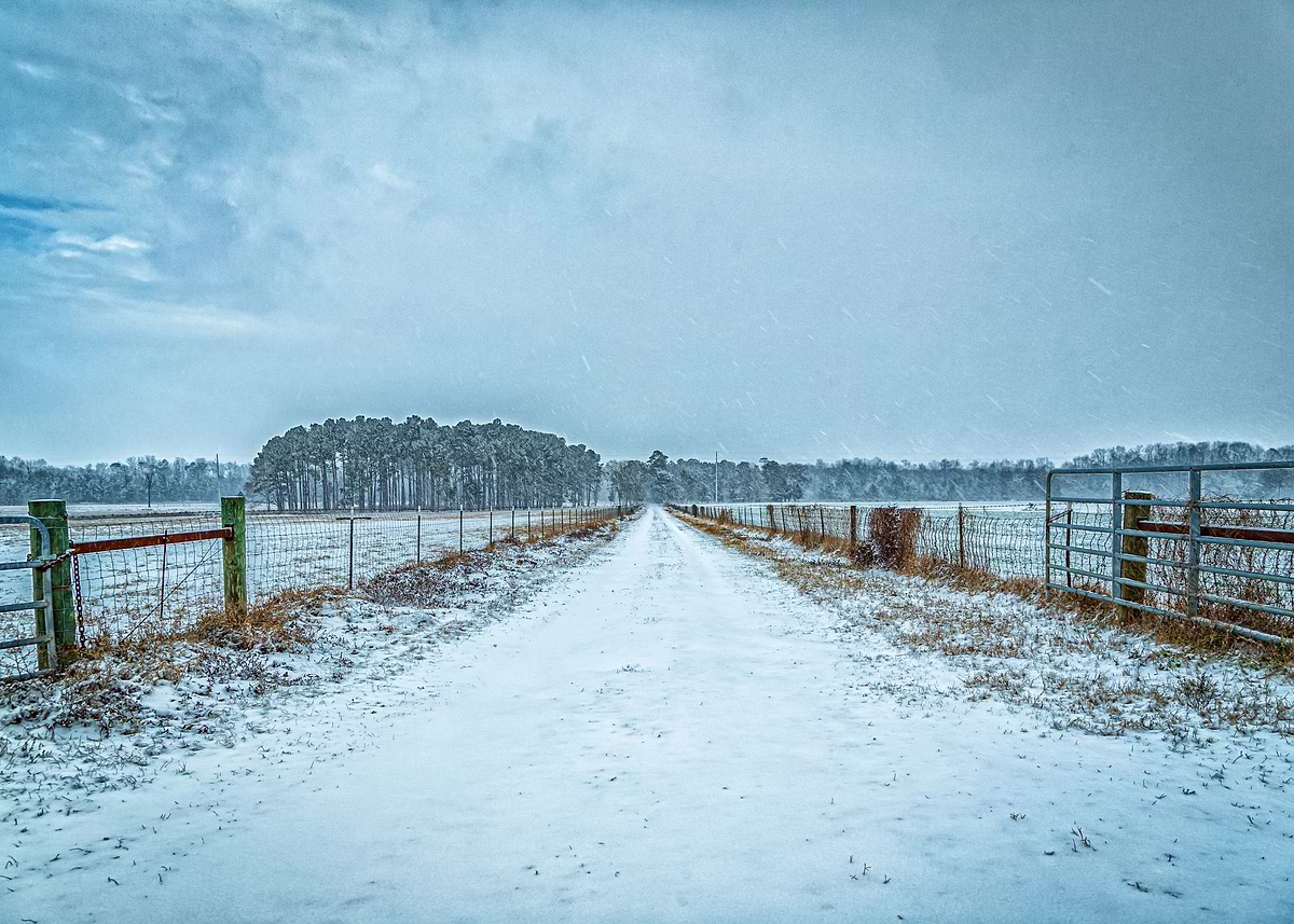 'January Snow Day' Poster, picture, metal print, paint by Gestalt ...