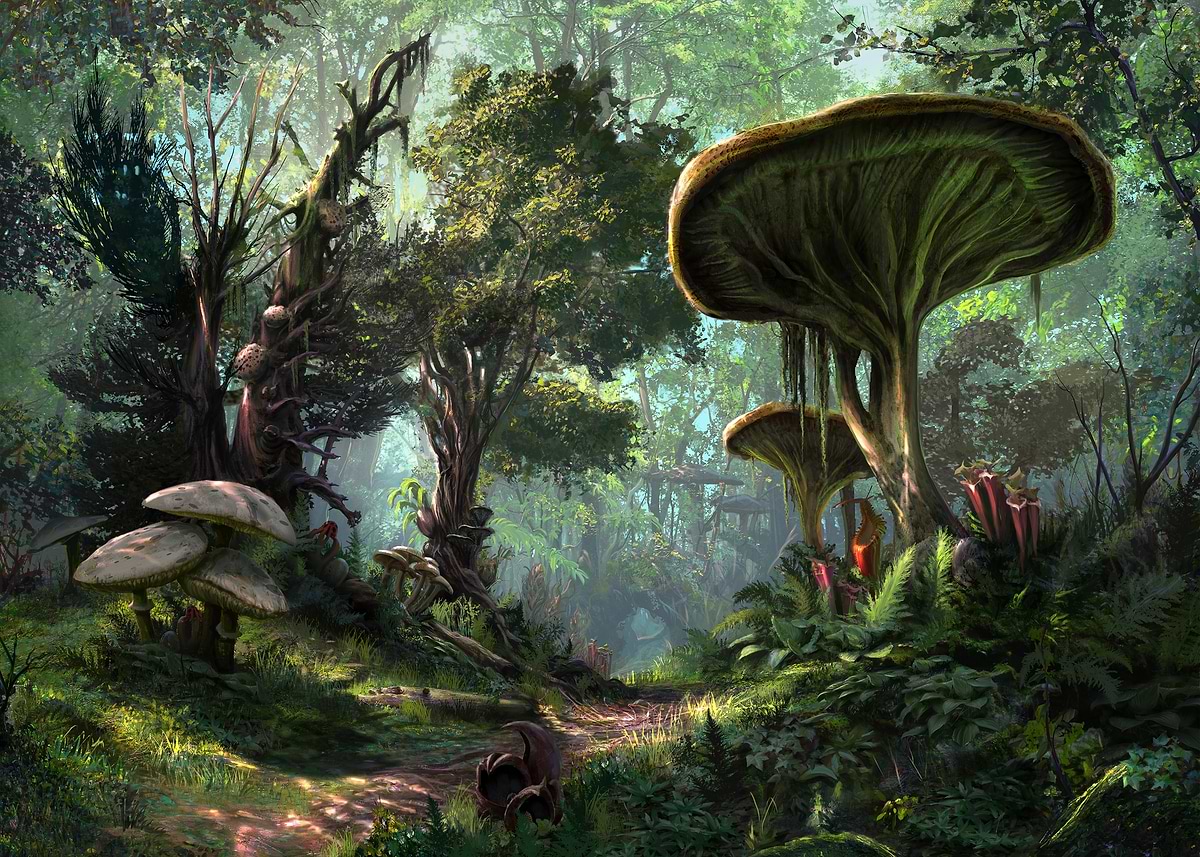 'Morrowind Forest' Poster, picture, metal print, paint by The Elder ...