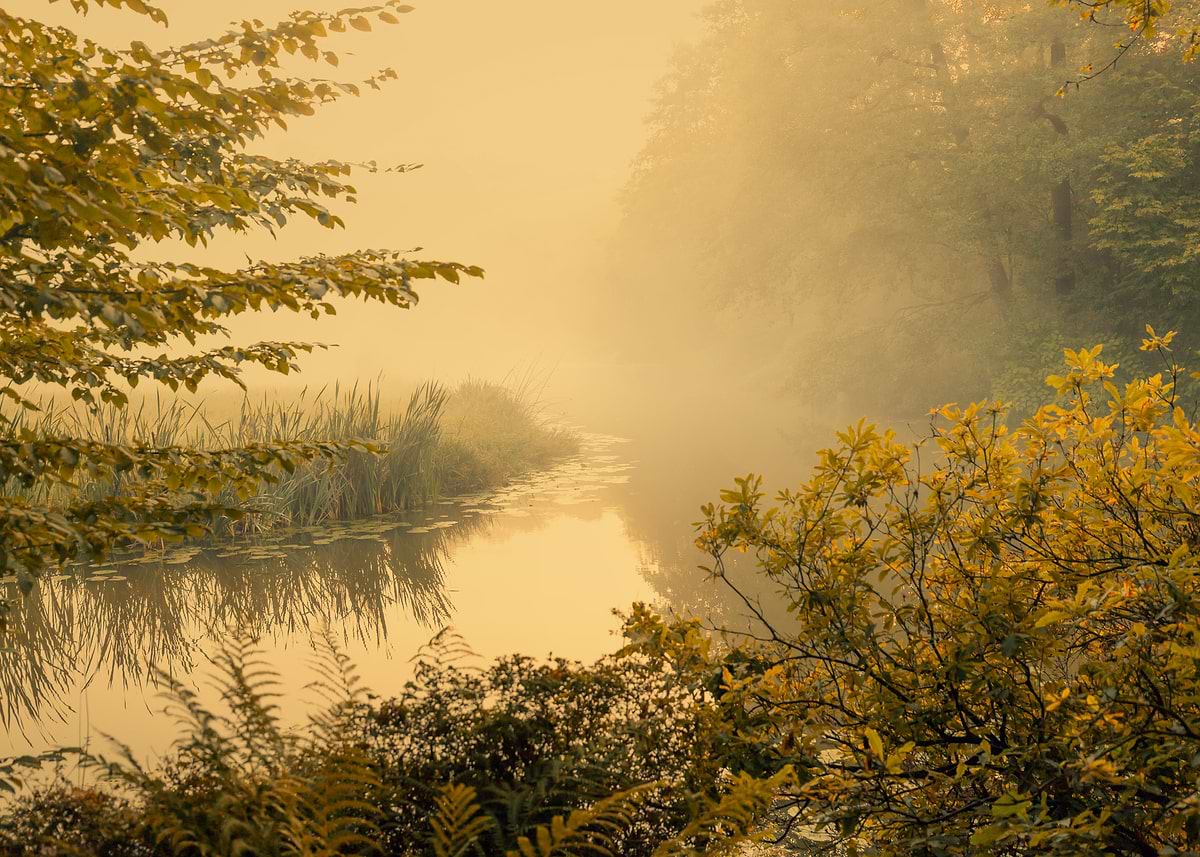 'Foggy morning' Poster, picture, metal print, paint by anettastar ...
