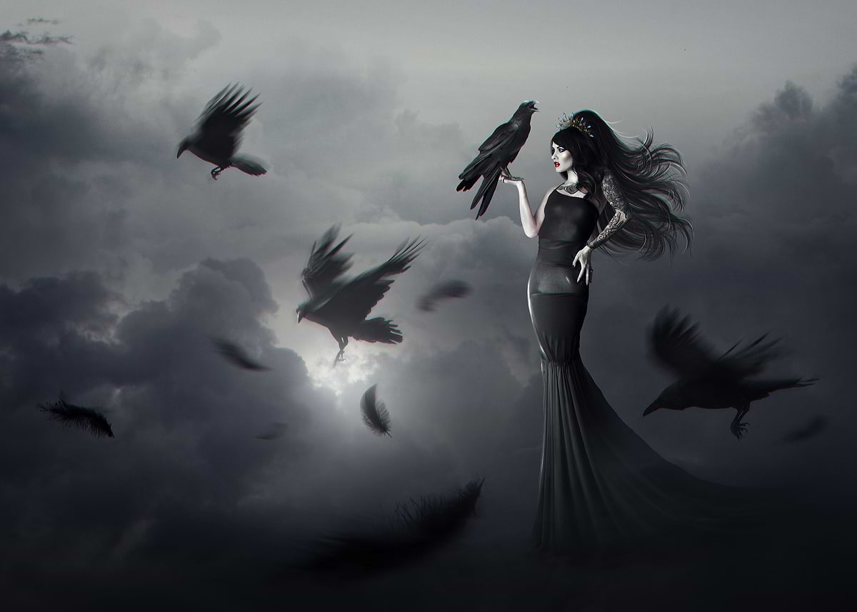'Raven Queen' Poster, picture, metal print, paint by Jose Ferreira ...