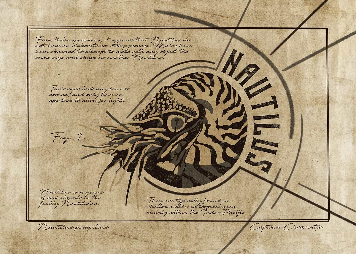 'Nautilus' Poster, picture, metal print, paint by Captain Chromatic ...