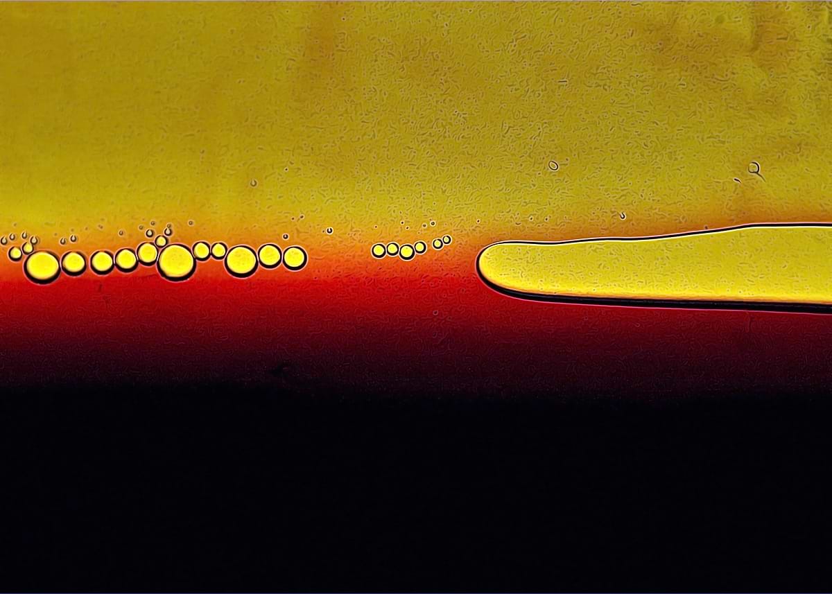 'Red wine seven' Poster, picture, metal print, paint by Marek ...