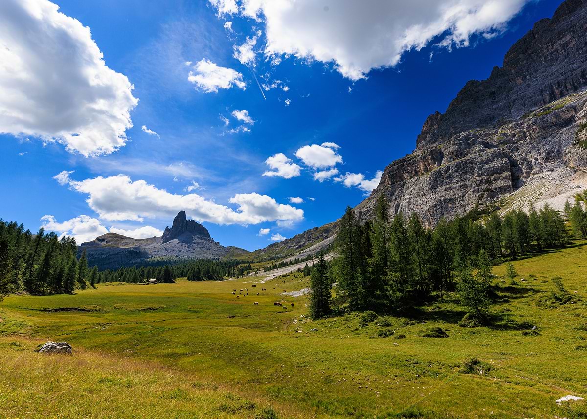 'Croda da Lago Dolomites' Poster, picture, metal print, paint by ...