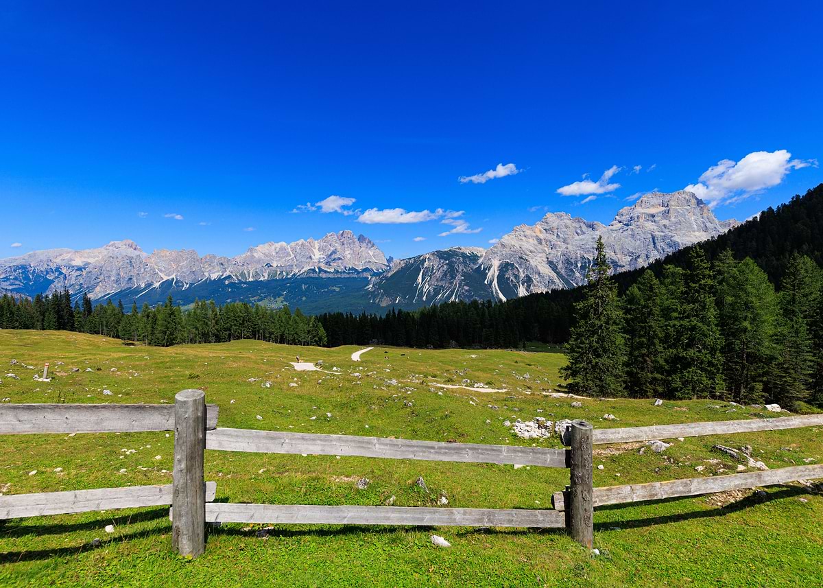 'Croda da Lago Dolomites' Poster, picture, metal print, paint by ...