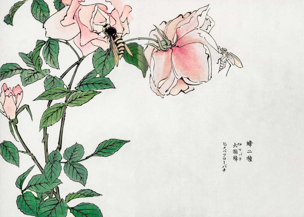 'Bee and Flower Japanese' Poster, picture, metal print, paint by Barry ...