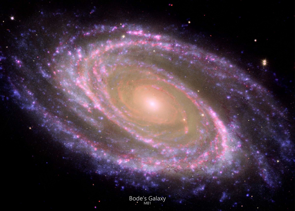 'Bodes Galaxy' Poster, picture, metal print, paint by Galaxy Images ...