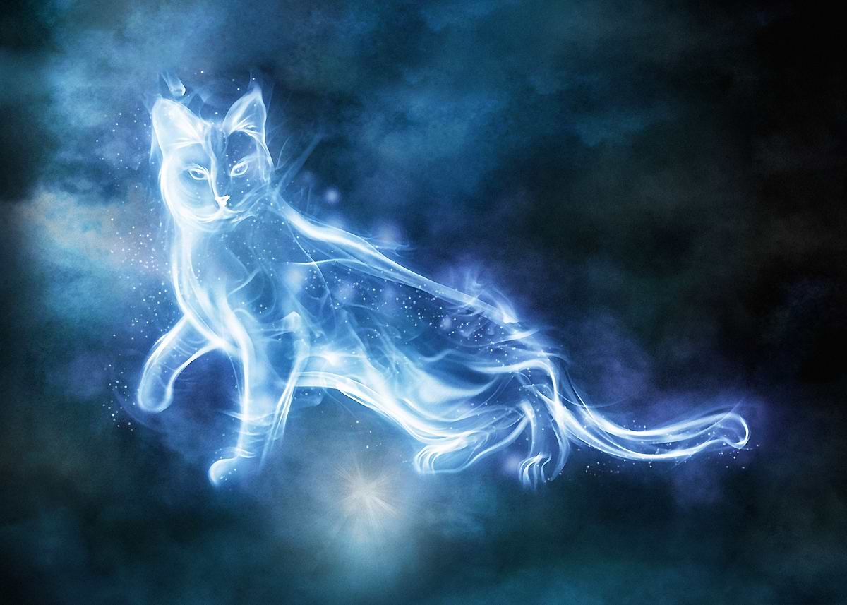 'Cat Patronus' Poster, picture, metal print, paint by Wizarding World ...