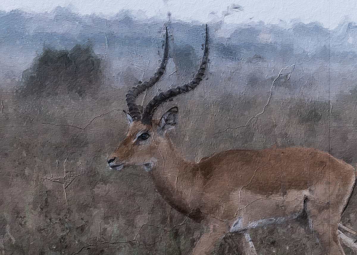 'Gazelle' Poster, picture, metal print, paint by TNT GROUP | Displate
