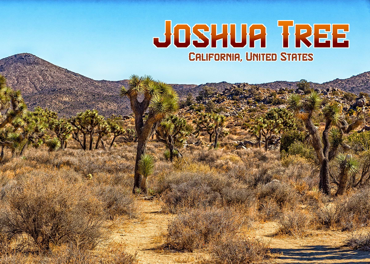 'Joshua Tree National Park' Poster, picture, metal print, paint by ...