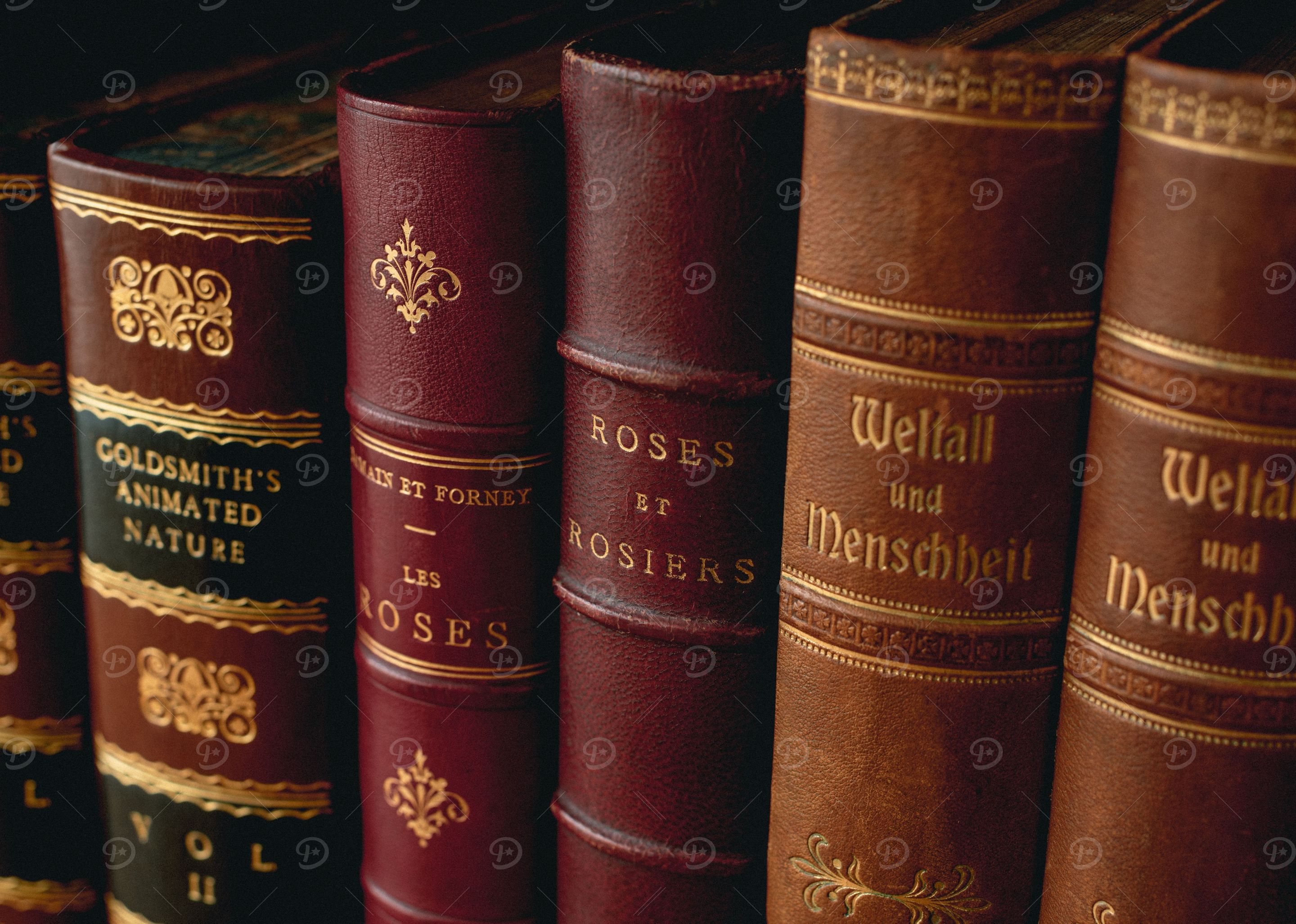 'Old Books' Poster, picture, metal print, paint by KrispyArt | Displate