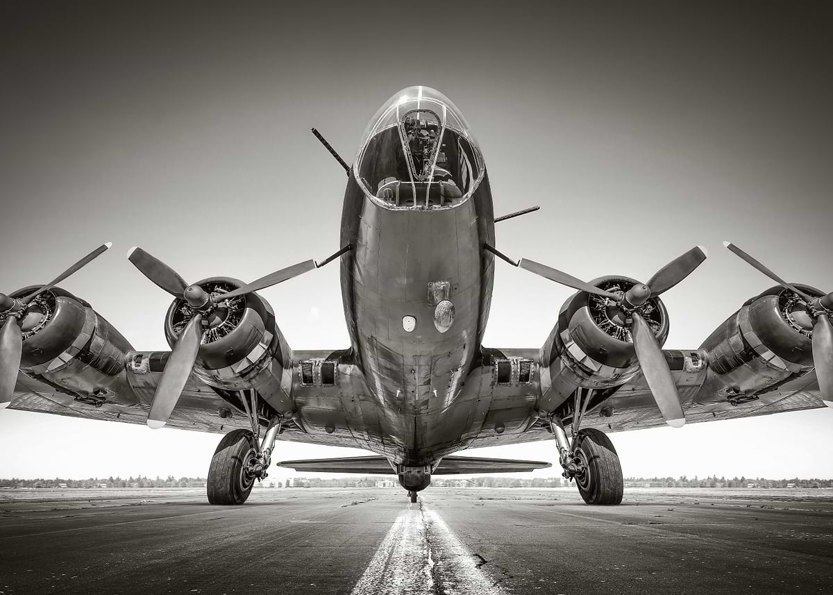 'the flying fortress' Poster, picture, metal print, paint by Frank ...