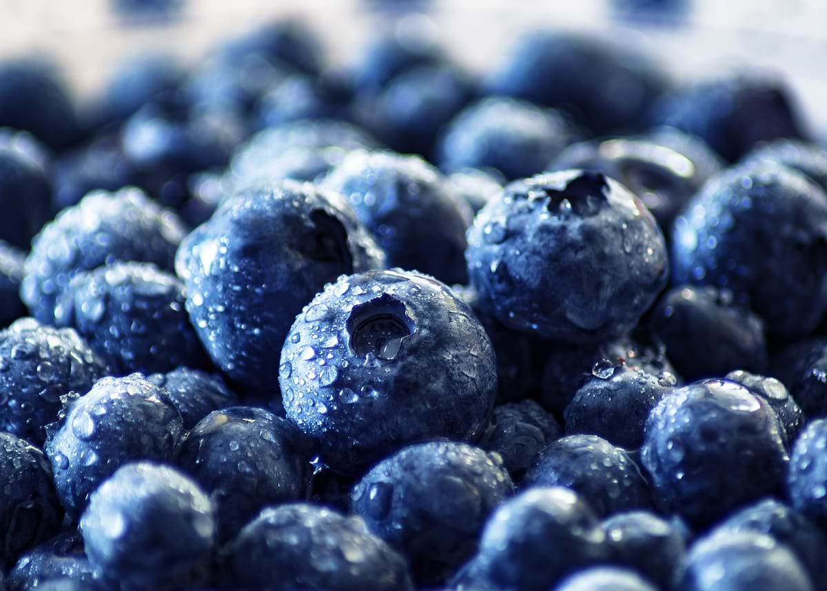 'blueberries ' Poster, picture, metal print, paint by Spring Flower ...