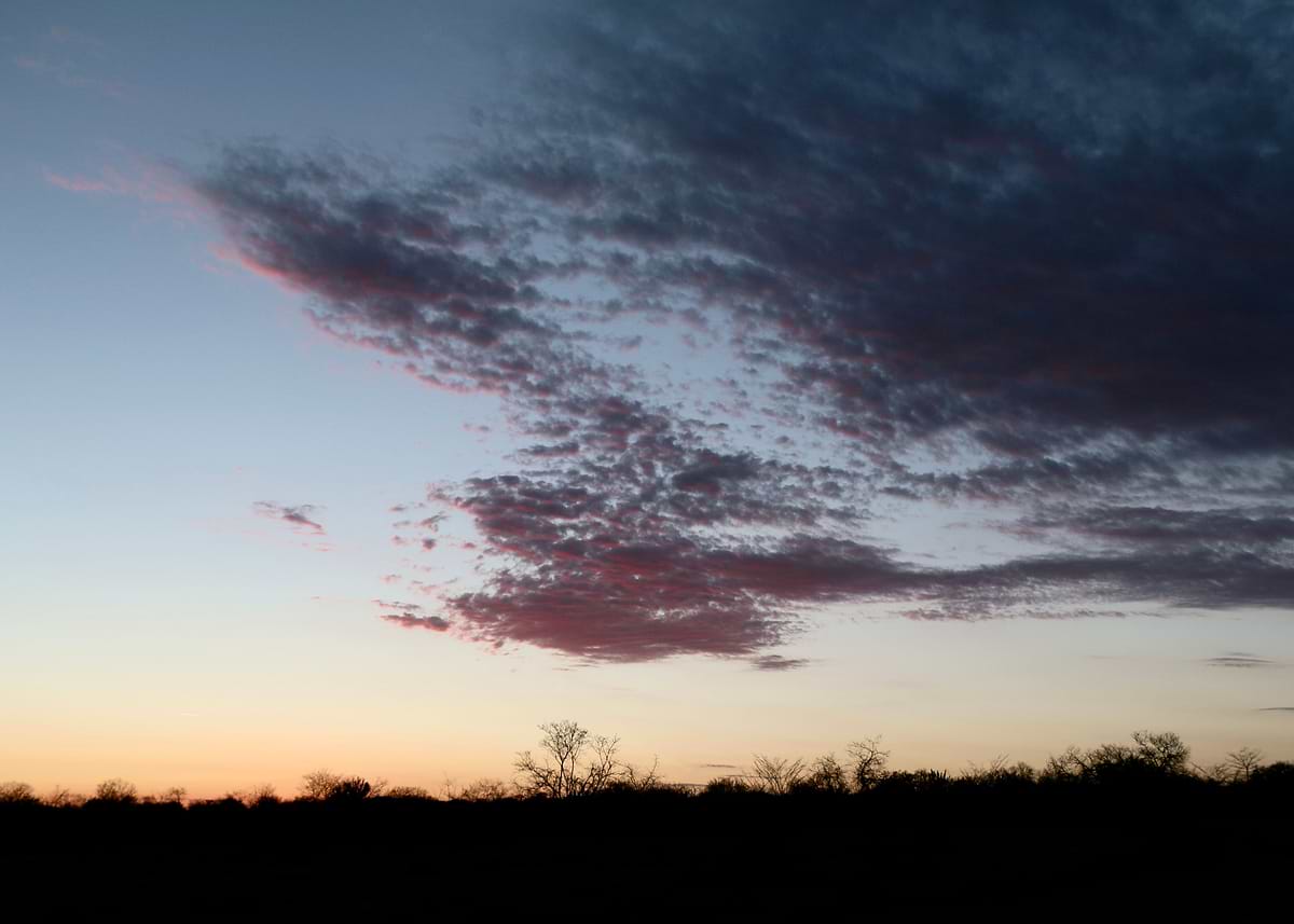 'Safari Sunset' Poster, picture, metal print, paint by Leila Studio ...