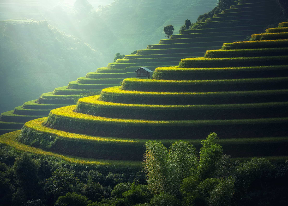 'Traditional Rice Terraces' Poster, picture, metal print, paint by ...
