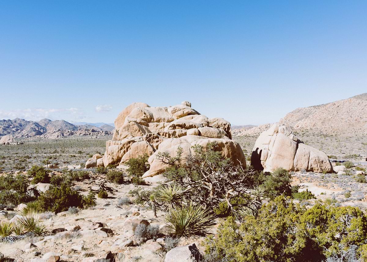 'Joshua Tree National Park' Poster, picture, metal print, paint by ...