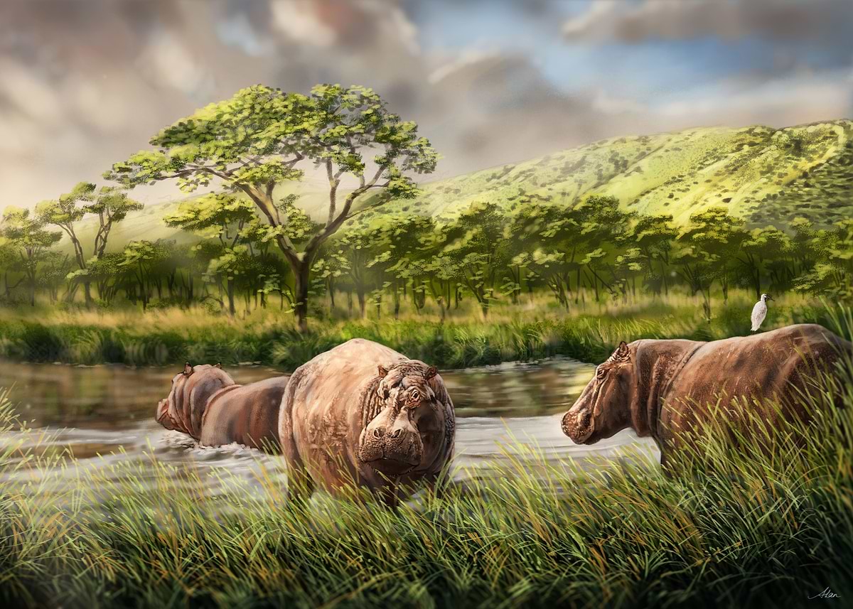 'World Hippopotamus Day' Poster, picture, metal print, paint by ...