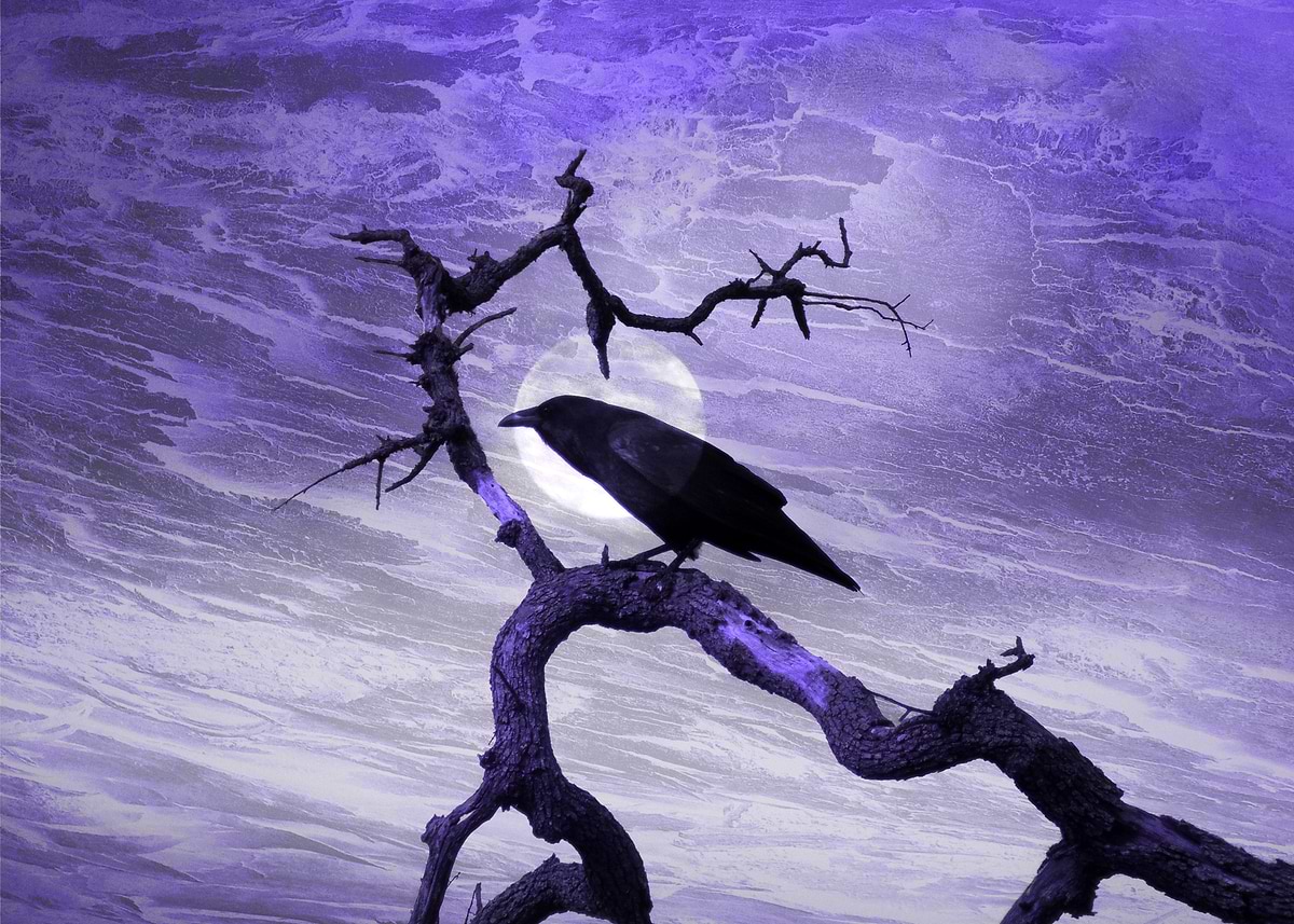 'Ravens Perch' Poster, picture, metal print, paint by Robert Ball ...