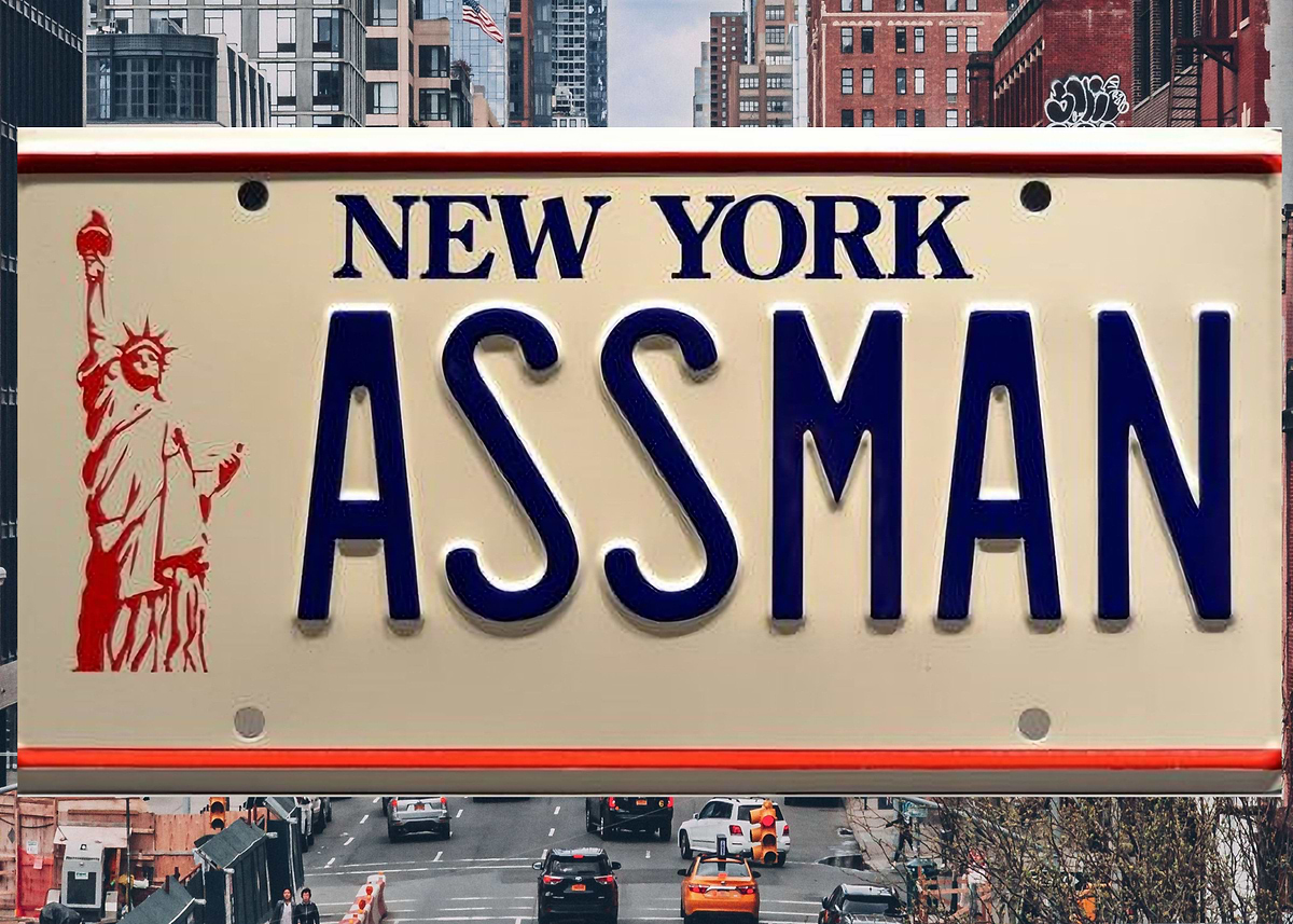 'Assman License Plate' Poster, picture, metal print, paint by Space ...