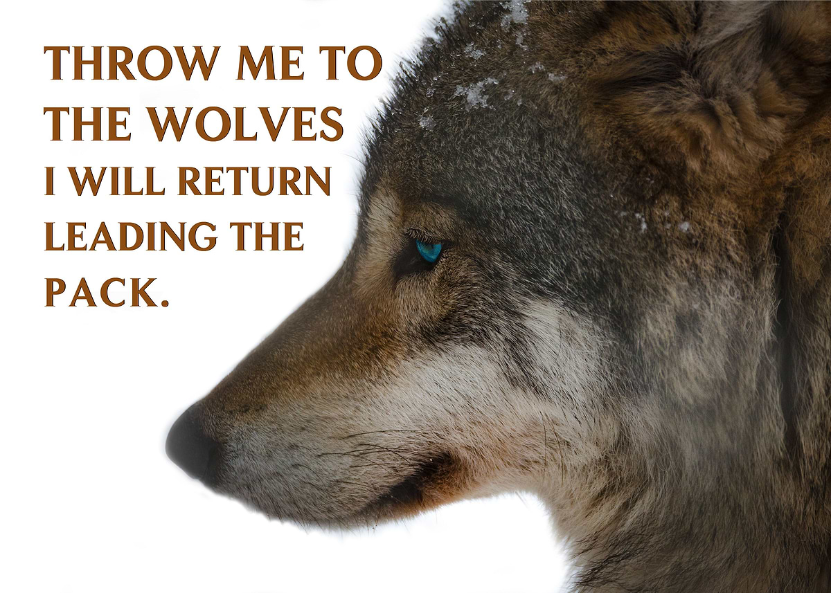 'Throw me to the wolves' Poster, picture, metal print, paint by Van ...