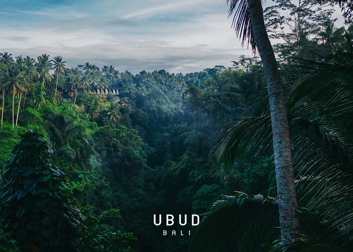 'Ubud ' Poster, picture, metal print, paint by Famous City | Displate