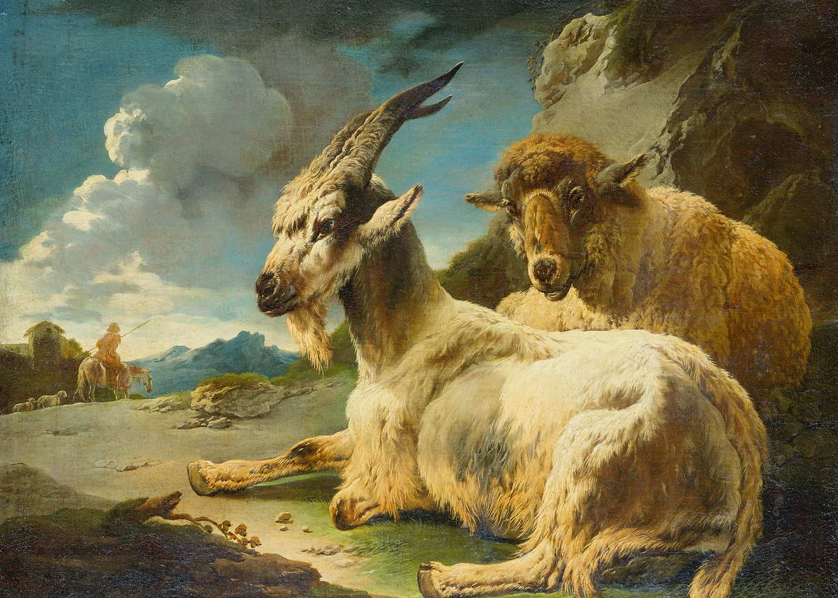 'Goat and Sheep' Poster, picture, metal print, paint by tony4urban ...
