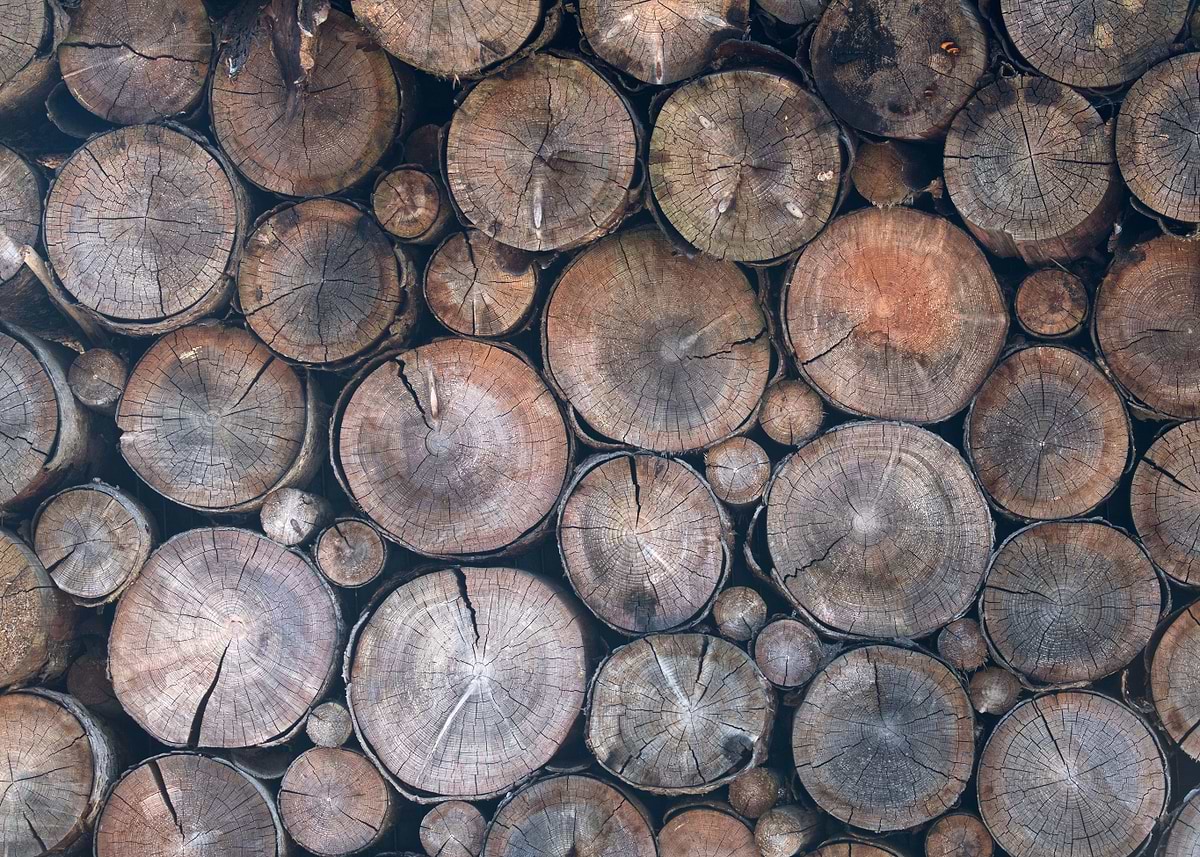 'Rustic Wood 3' Poster, picture, metal print, paint by Anita's & Bella ...