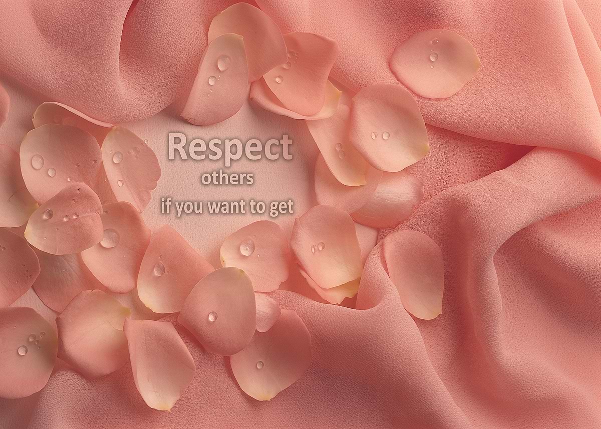 'Rose Petals with RESPECT' Poster, picture, metal print, paint by VIVEK ...