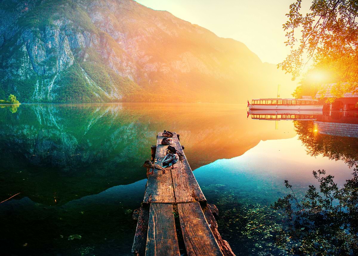 'Natures' Poster, picture, metal print, paint by Lucy Strome | Displate