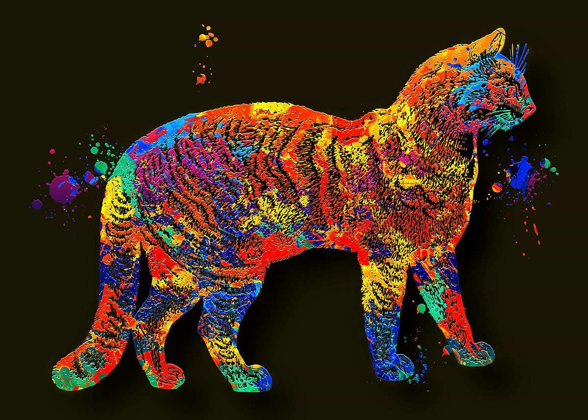 'Cat' Poster, picture, metal print, paint by Morgan Moorhead | Displate