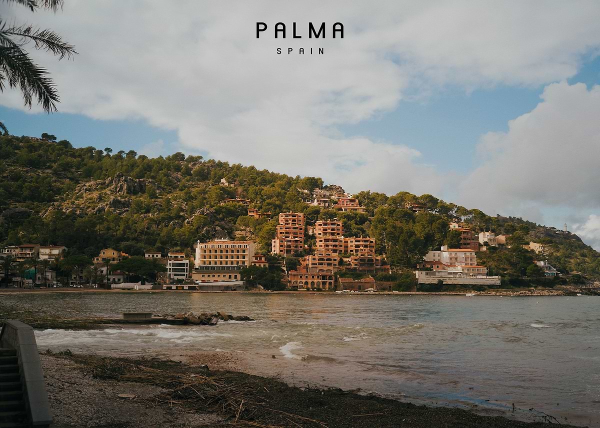 'Palma ' Poster, picture, metal print, paint by Big City | Displate