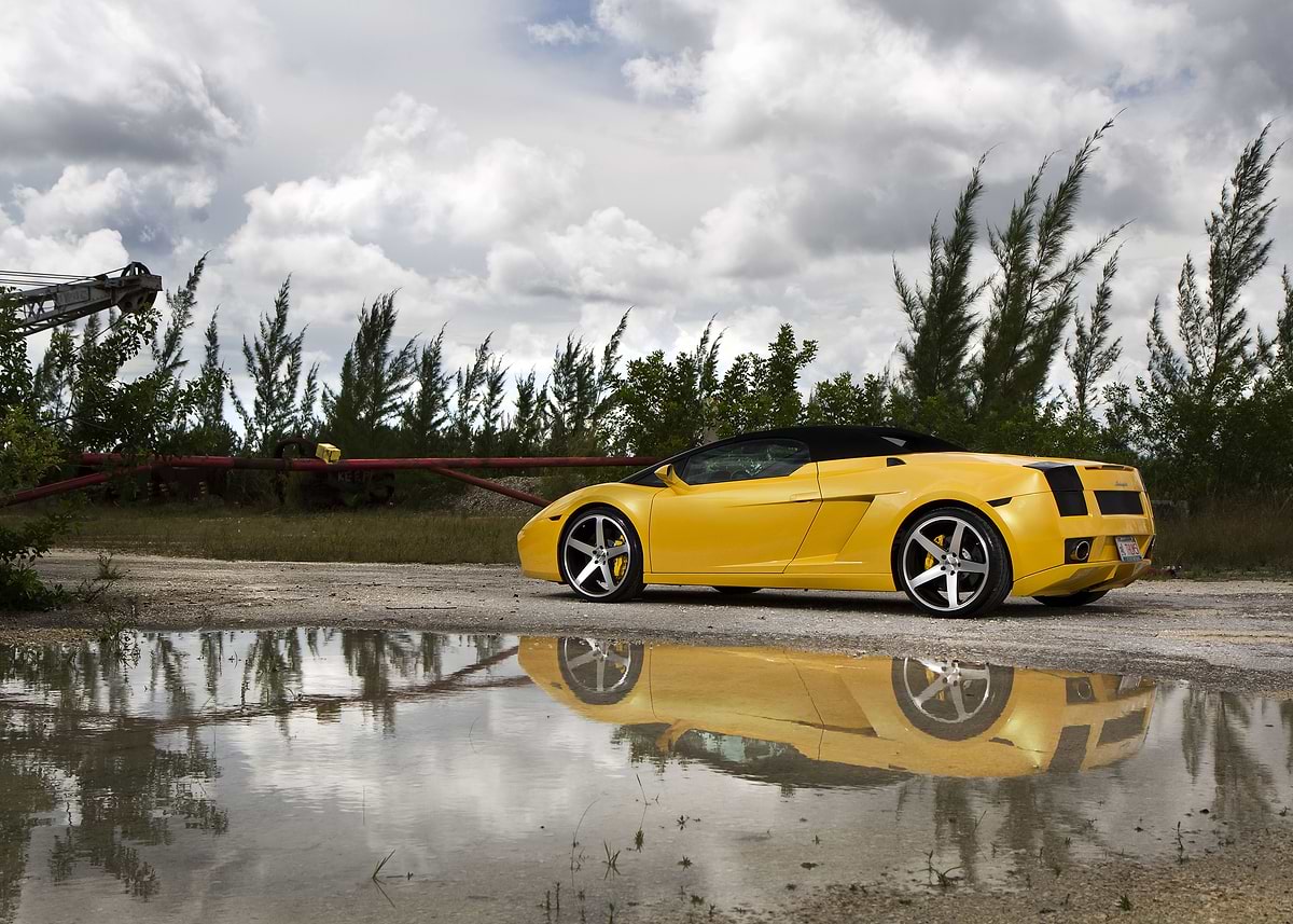 'Lamborghini Gallardo' Poster, picture, metal print, paint by Indi ...