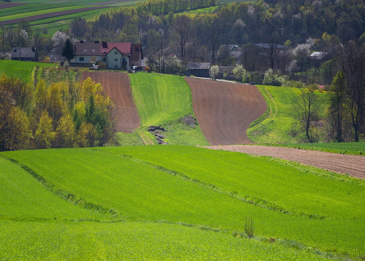 'Rural spring scenery' Poster, picture, metal print, paint by ...