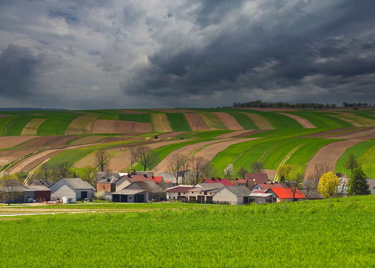 'Spring landscape, Poland' Poster, picture, metal print, paint by ...