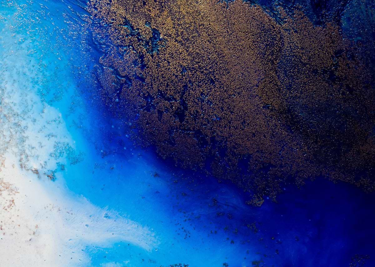 'The Big Blue' Poster, picture, metal print, paint by Petra Meikle de ...